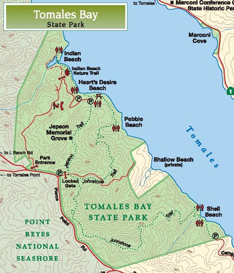 California Wildflower hikes, Tomales Bay Park